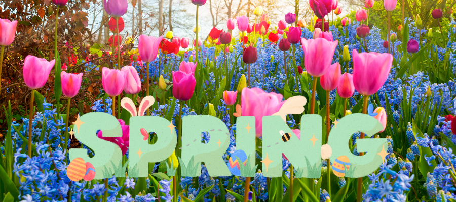 Spring in Kentucky | Tees, Sweatshirts, Kids, Socks & Hats – KY for KY ...
